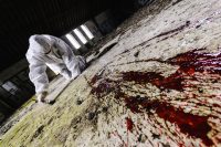 How to Become a Blood Spatter Analyst In 5 Steps (Career Guide)
